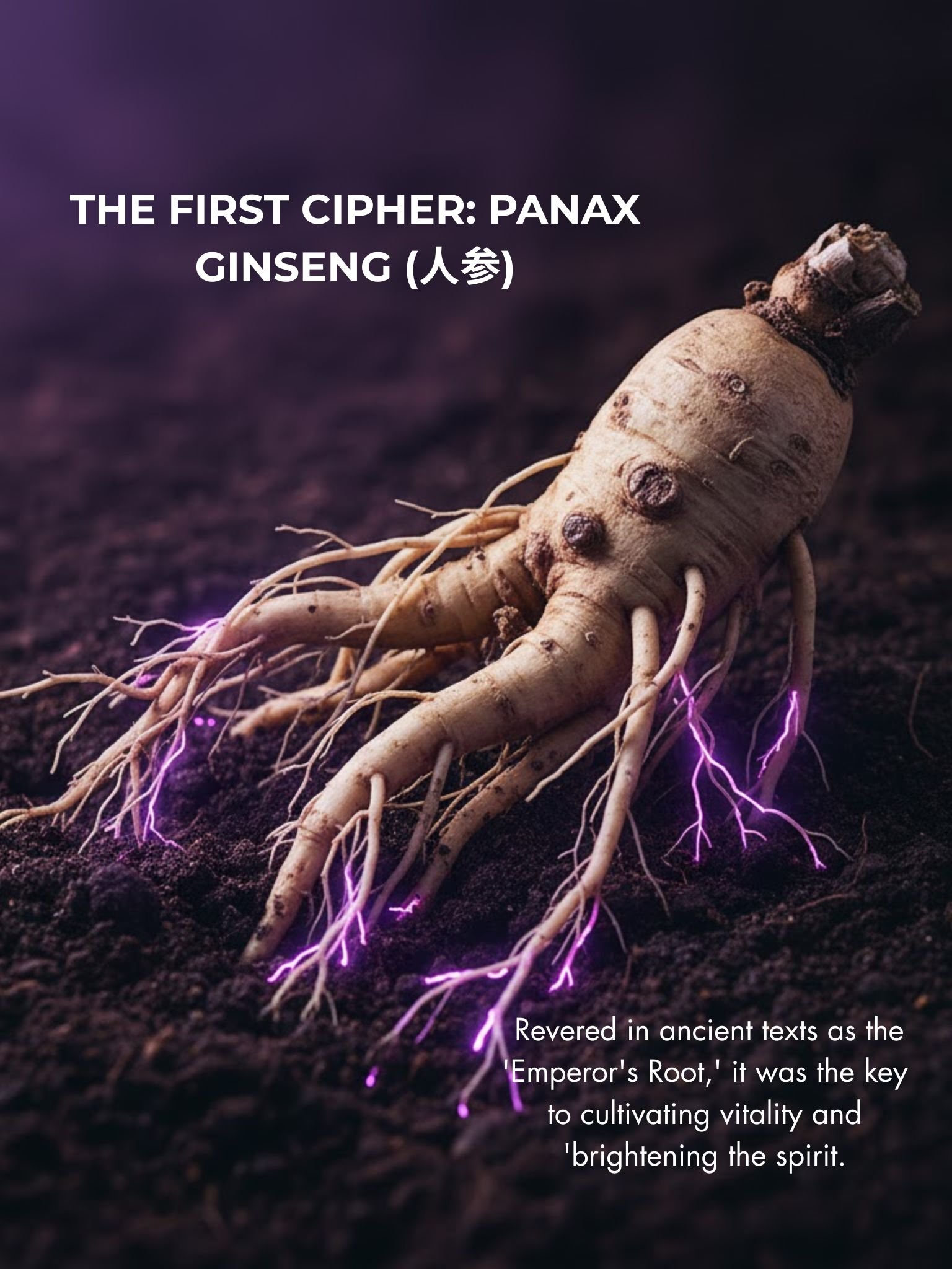 Panax Ginseng Skincare Benefits: A Dermatologist's Guide